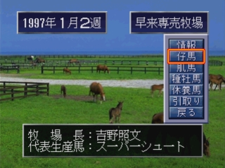 WINNING POST EX - (NTSC-J)